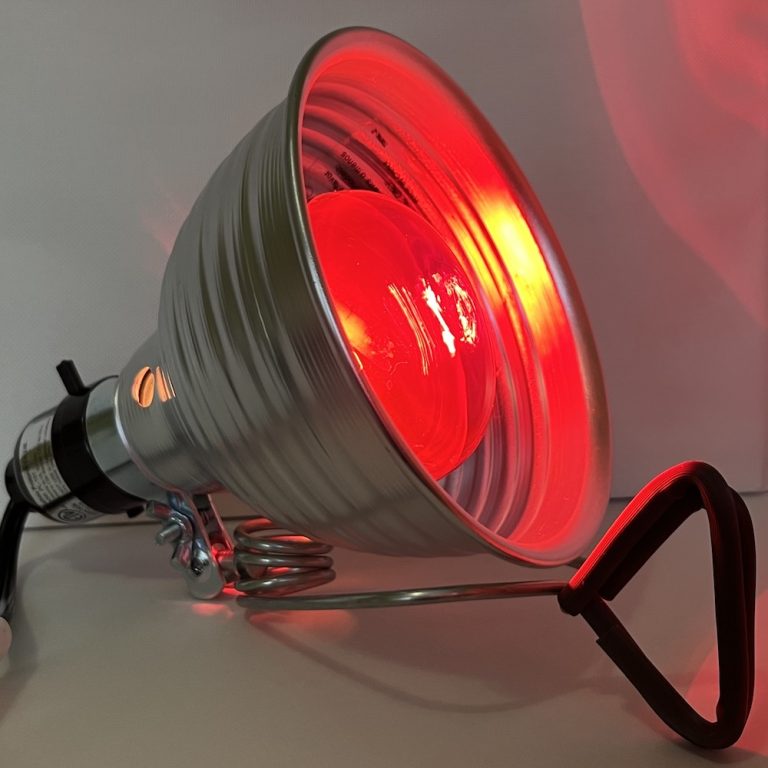 Small Animal Heat Lamp, 75 Watt Infrared Bulb Included ⋆ Morganville ...