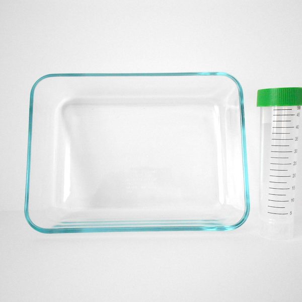 Pyrex Lab Glass Staining Dish ⋆ Morganville Scientific