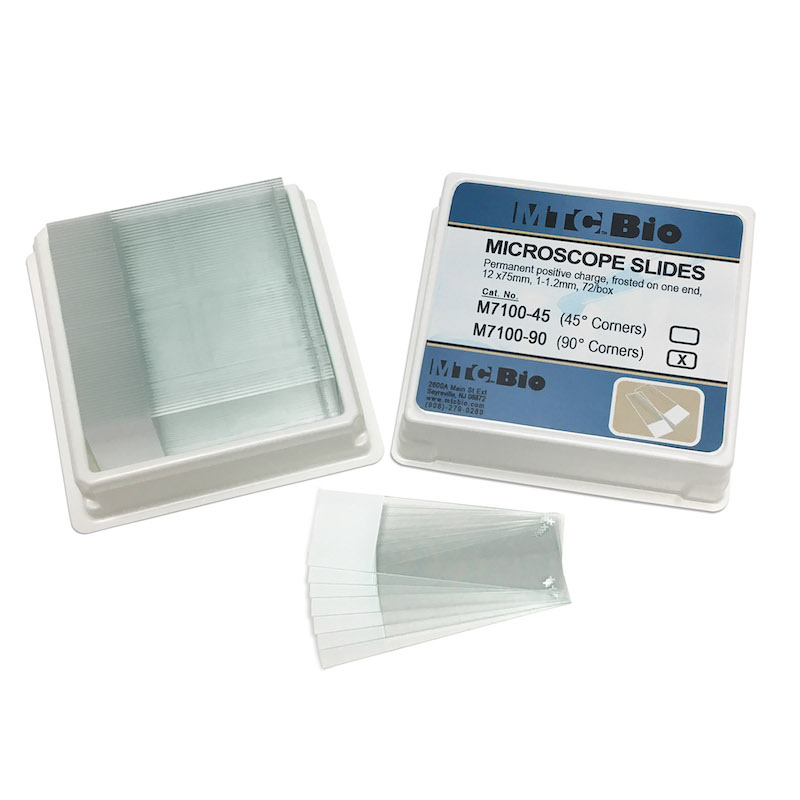 Microscope Slides ⋆ Morganville Scientific