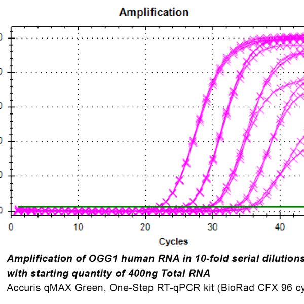 qMax Green One Step RT-qPCR Kit ⋆ Morganville Scientific